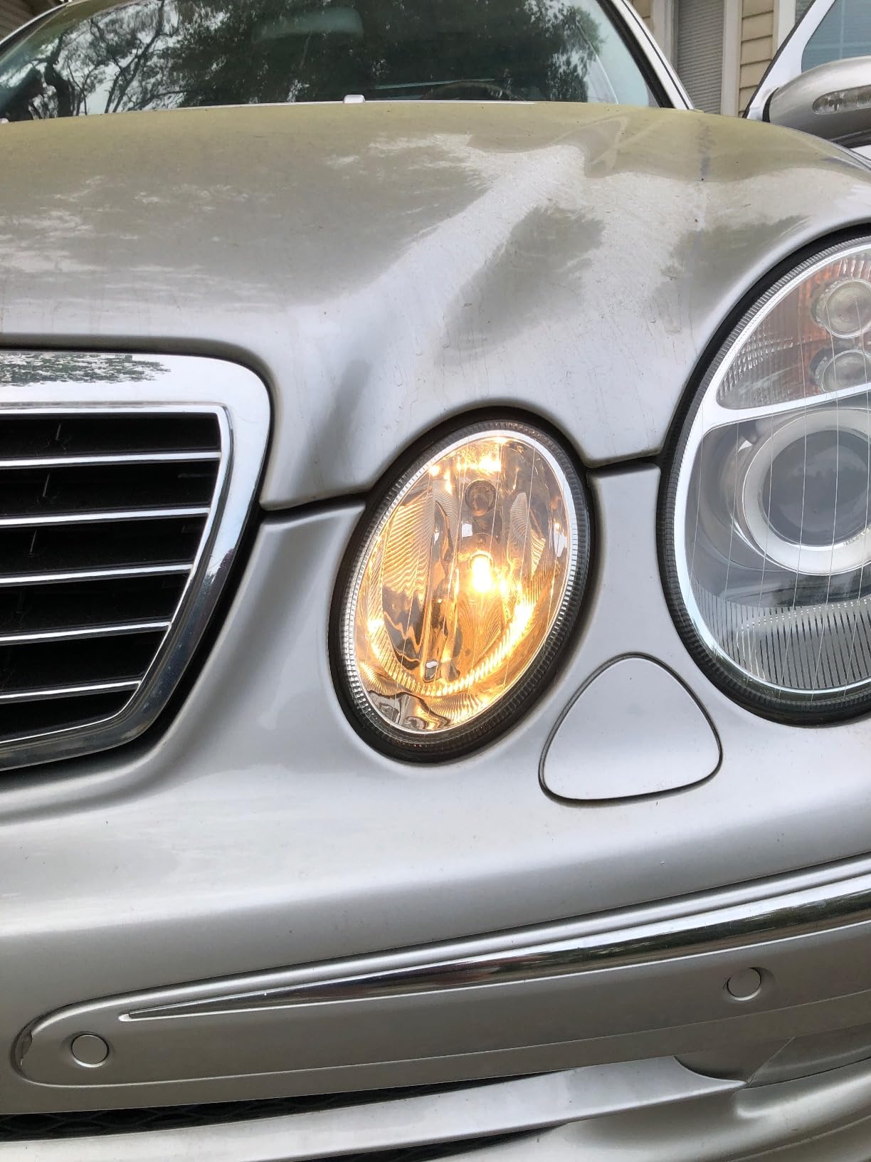 Amazon.com: Philips 12961CVB2 12961 CrystalVision Ultra Miniature Bulb ...