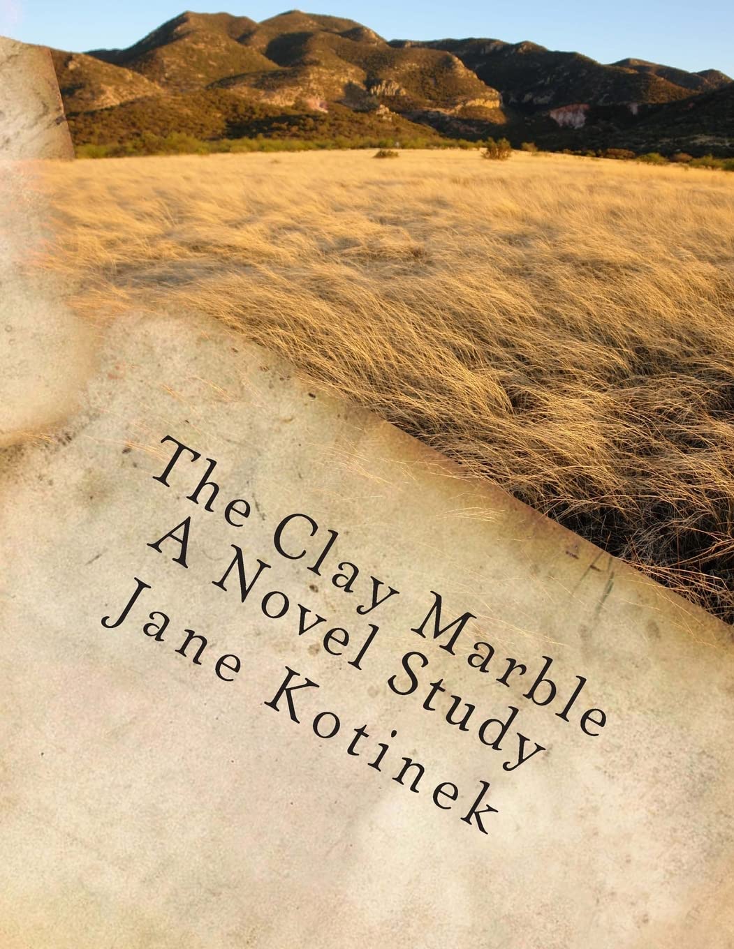 The Clay Marble A Novel Study: Kotinek, Jane: 9781478131106: Amazon.com ...