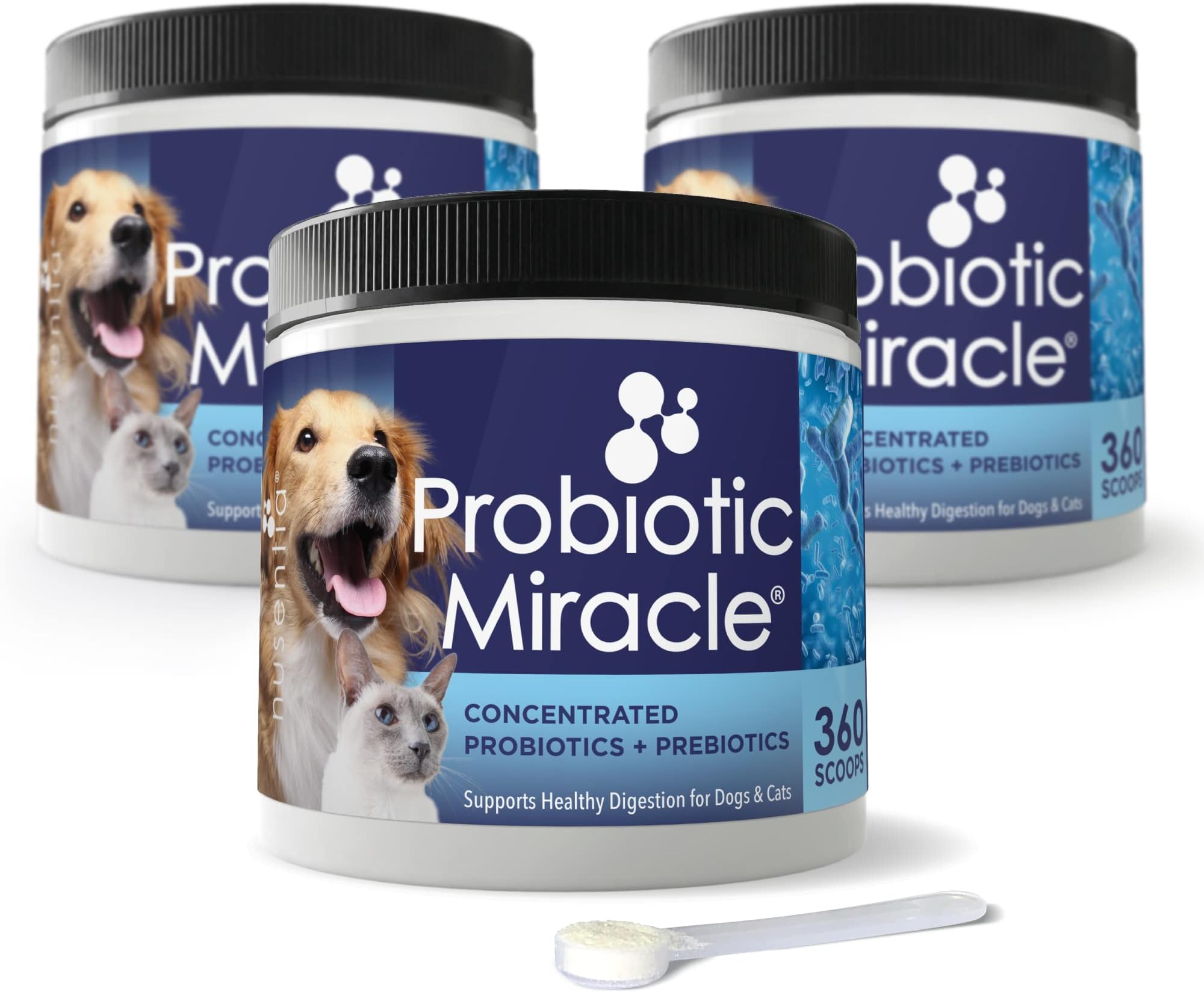 Amazon.com: VetIQ Probiotic Supplement for Dogs, Digestive Support for ...