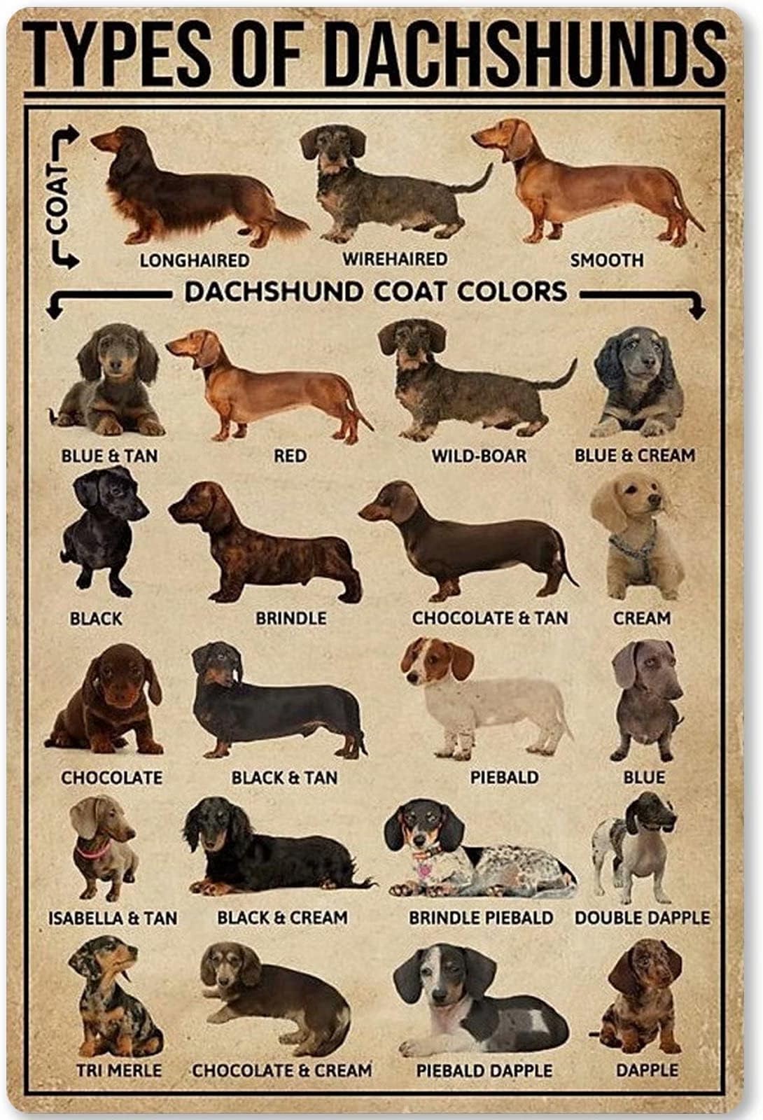 Amazon.com : Cusde Dachshund Dog Bicycle Company Ride With Pride Metal ...