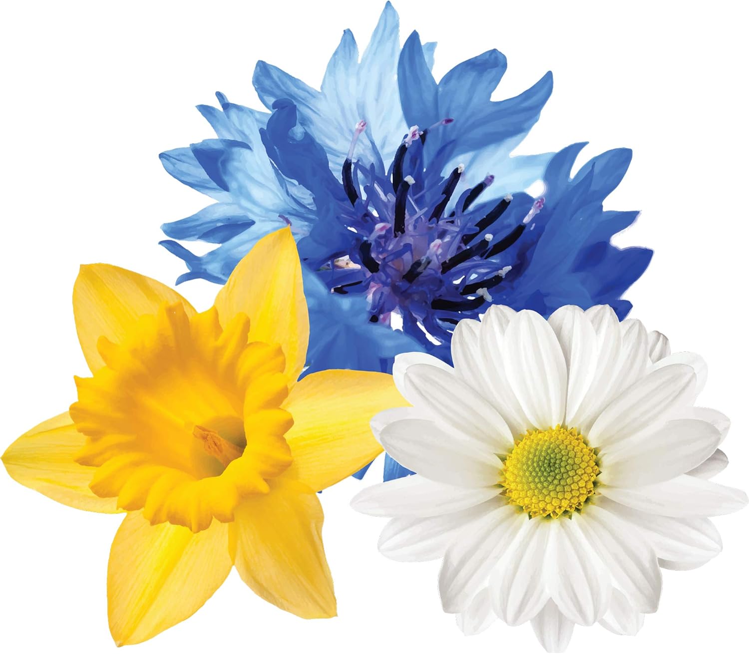 Amazon.com: StikArt Removable Flower Decals Printed on Waterproof ...
