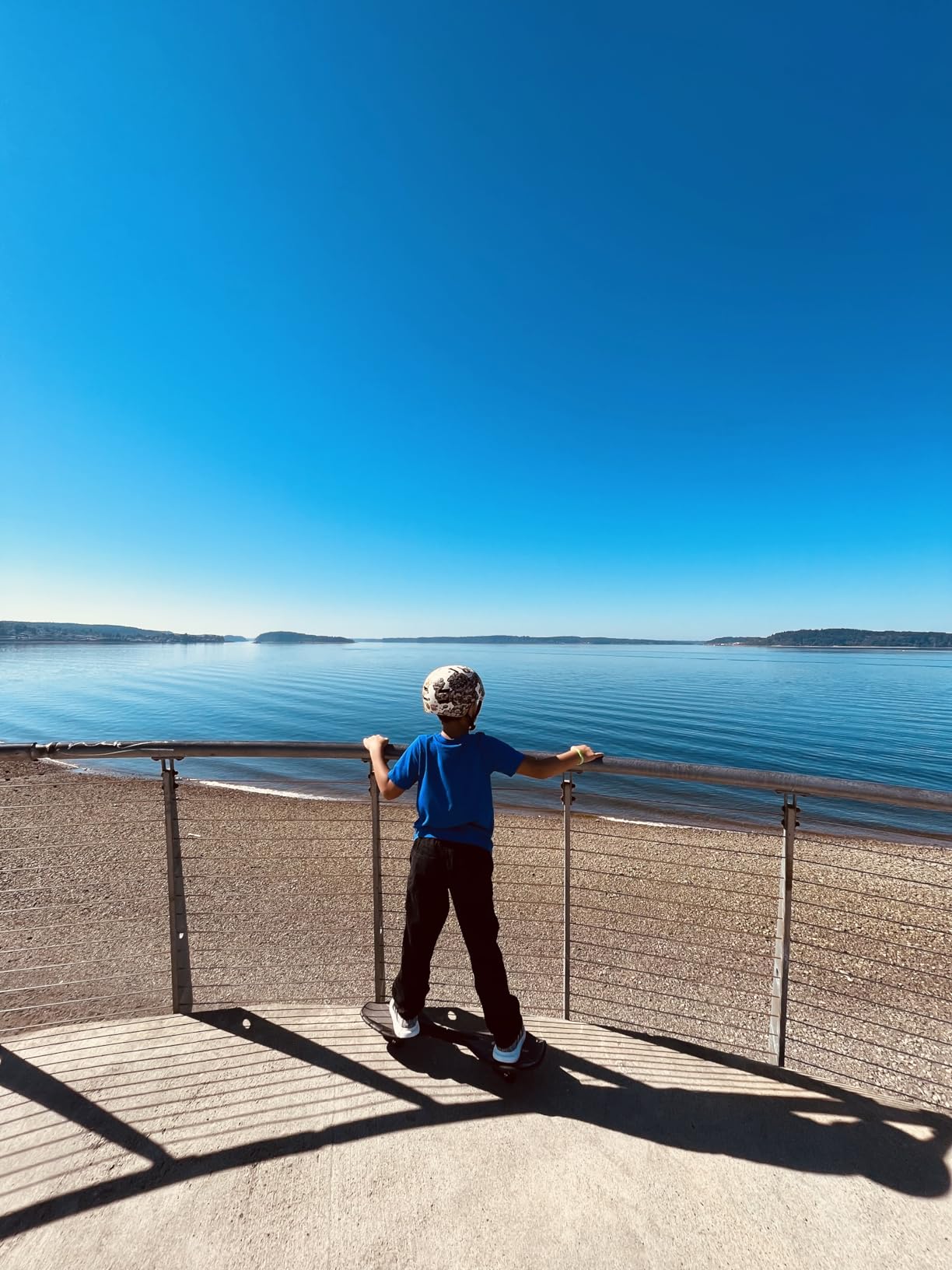 Amazon.com : Razor Black Label RipStik Ripster Light Up–Two Wheel ...