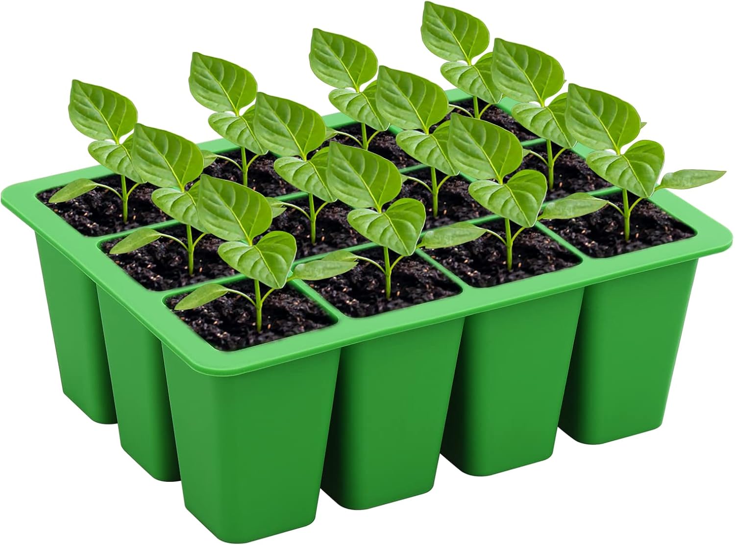 LIBOO 12 Cell Seed Trays for Seedlings Reusable, Silicone Seedling Pots ...