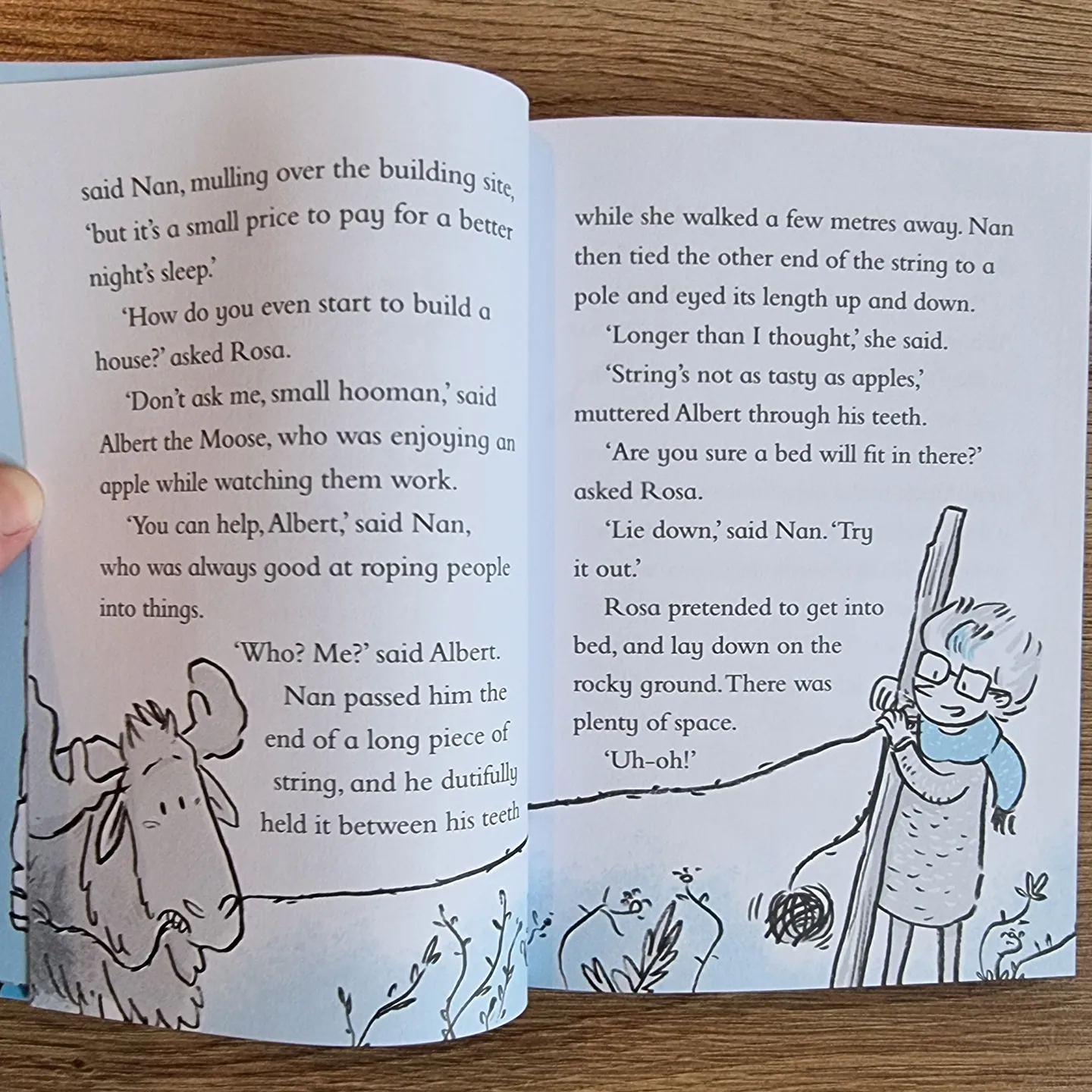 Big Sky Mountain: The Forest Wolves : Milway, Alex: Amazon.co.uk: Books