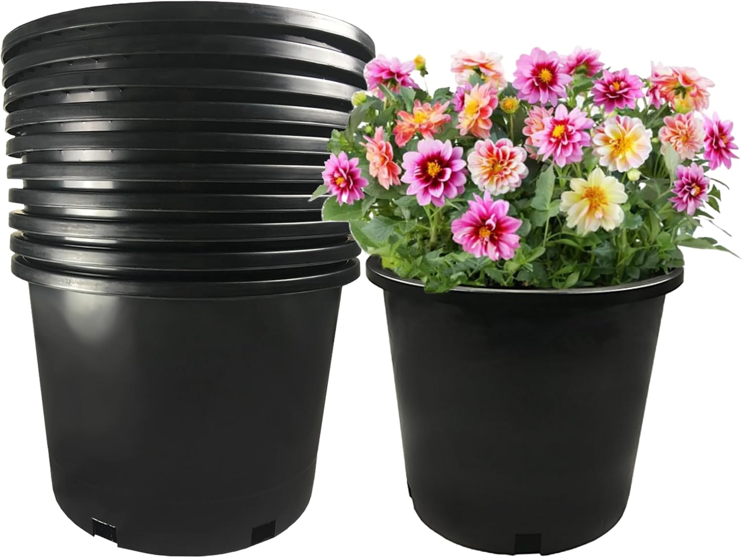 Amazon.com: Calipots 10-Pack 7 Gallon Premium Black Plastic Nursery ...