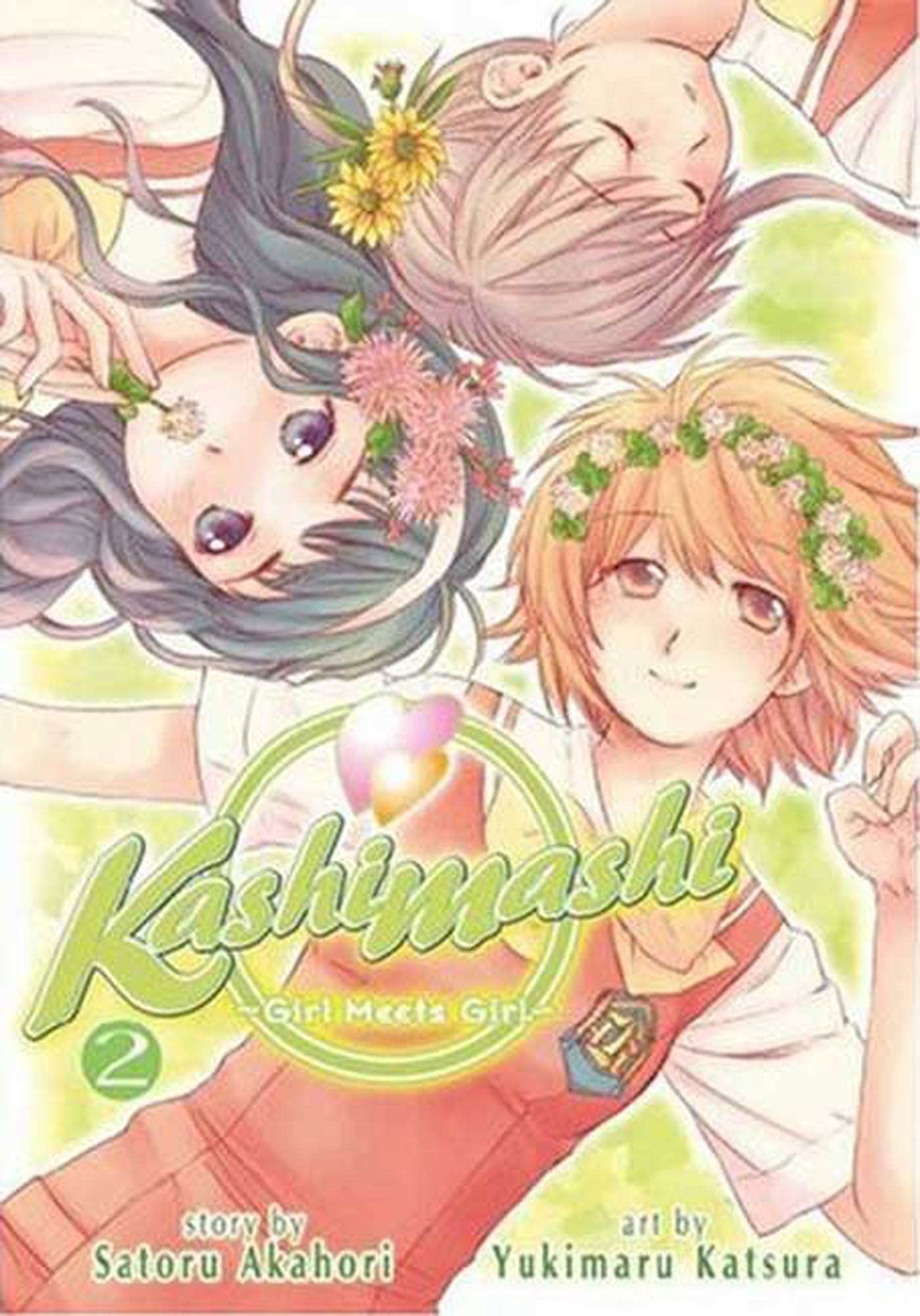 Kashimashi, Vol. 2: Akahori, Satoru, Katsura, Yukimaru: 9781933164458 ...