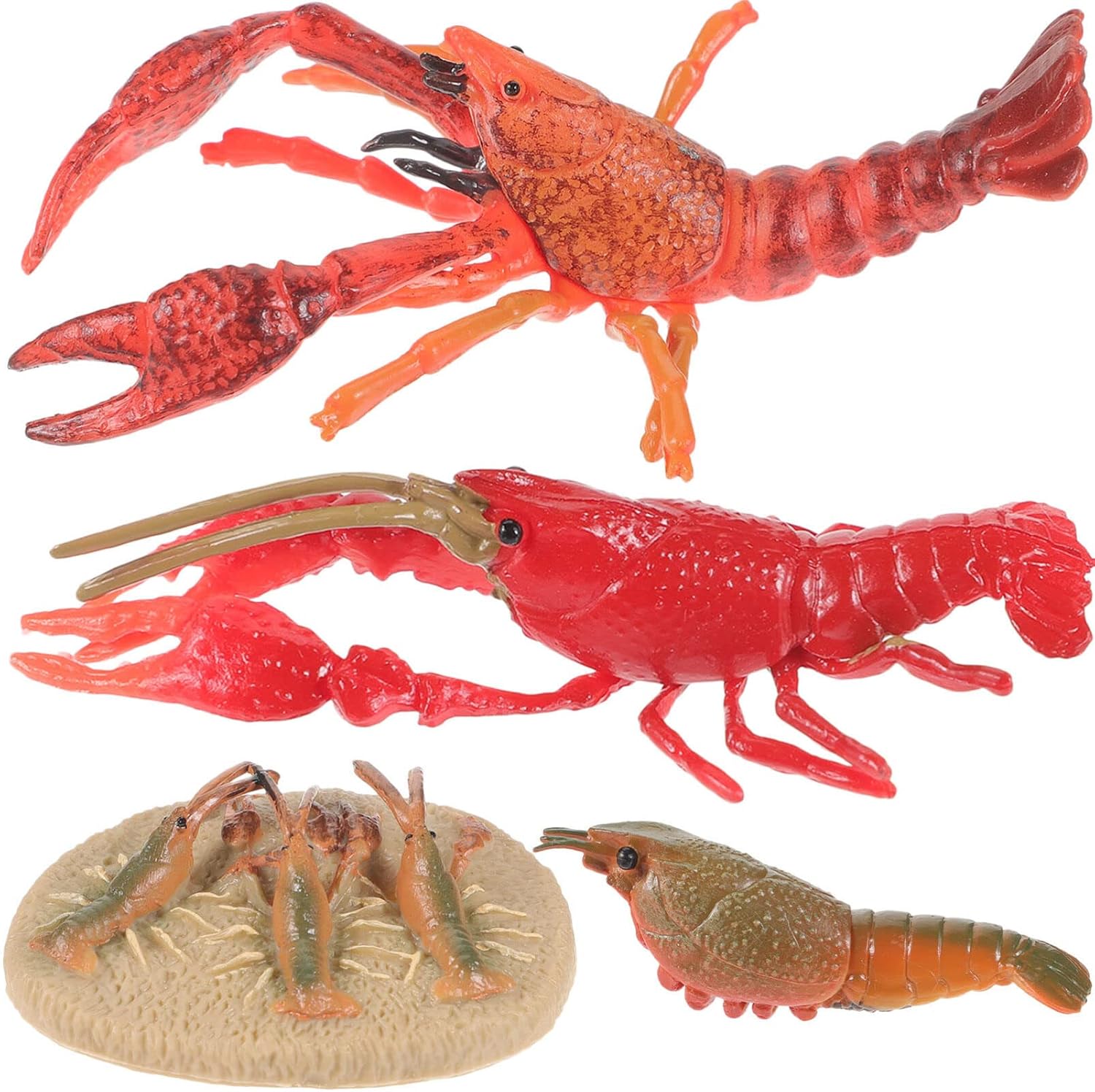 Amazon.com: Lobster Toy Sea Animal Growth Toys Life Cycle of Crab ...