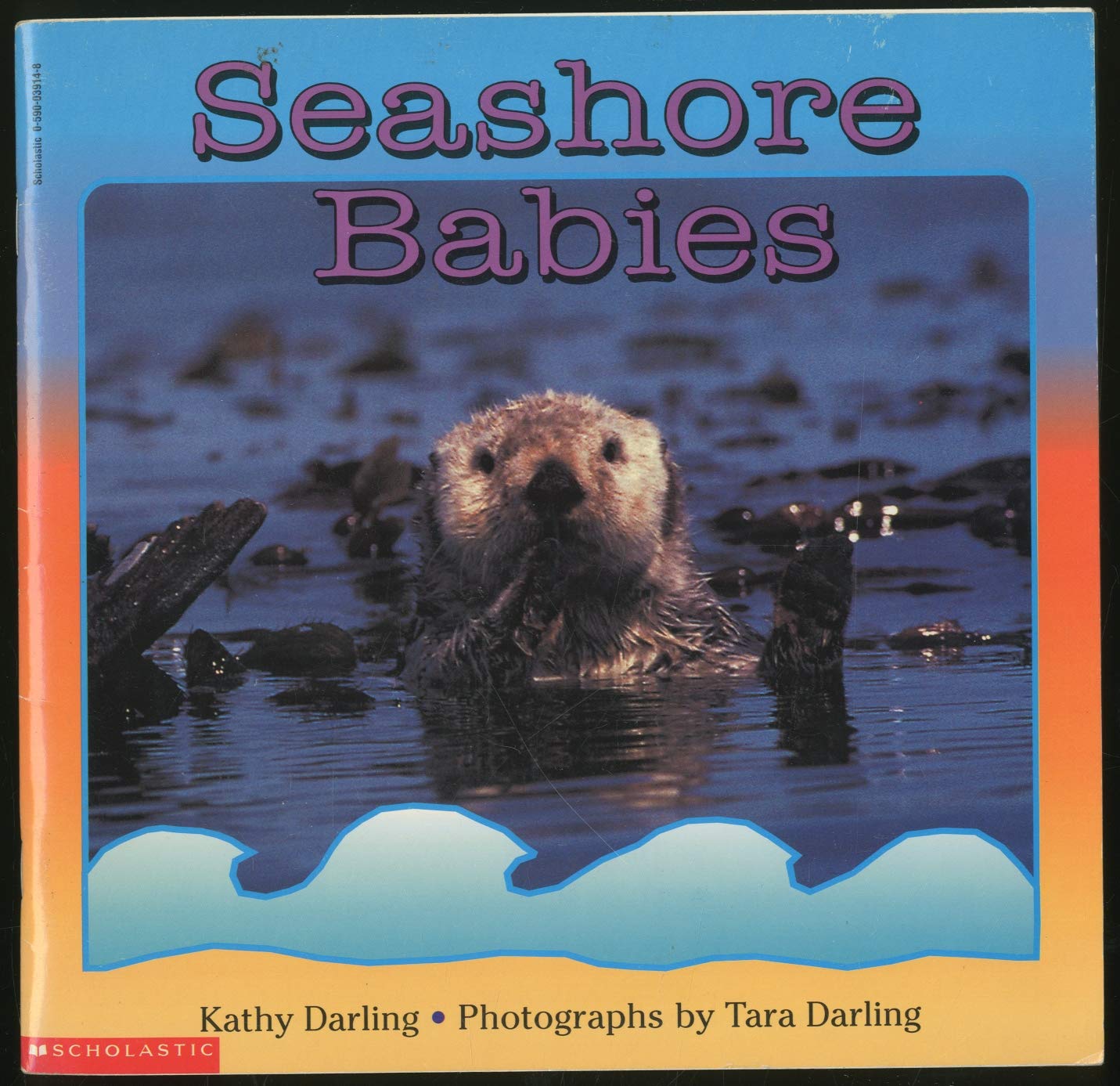 Seashore Babies: Darling, Kathy: 9780590039147: Amazon.com: Books