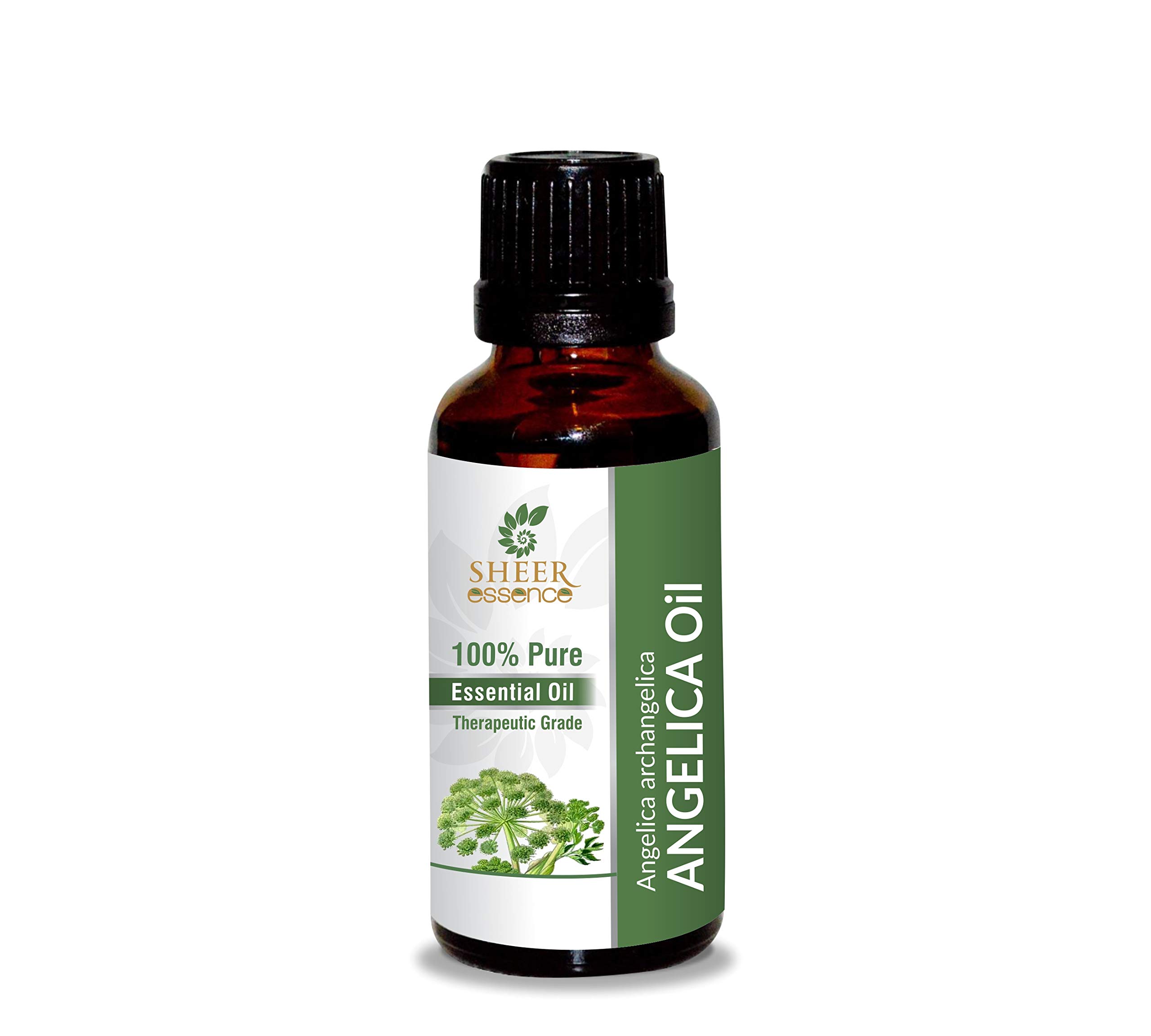 Angelica Oil(Angelica Archangelica Or Angelica Officinalis) 100% ...