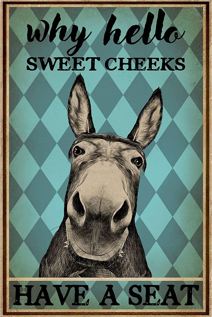 Amazon.com: Rustic Retro Metal Tin Sign Why Hello Sweet Cheeks Mint ...