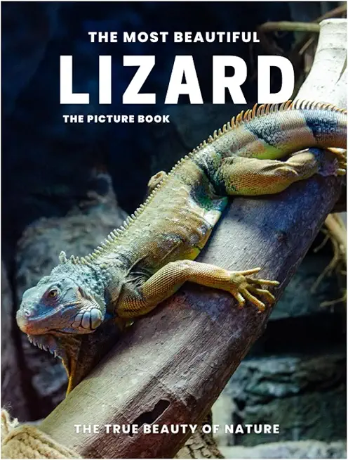 The Truth About Lizards And Diseases: Separating Fact From Fiction ...