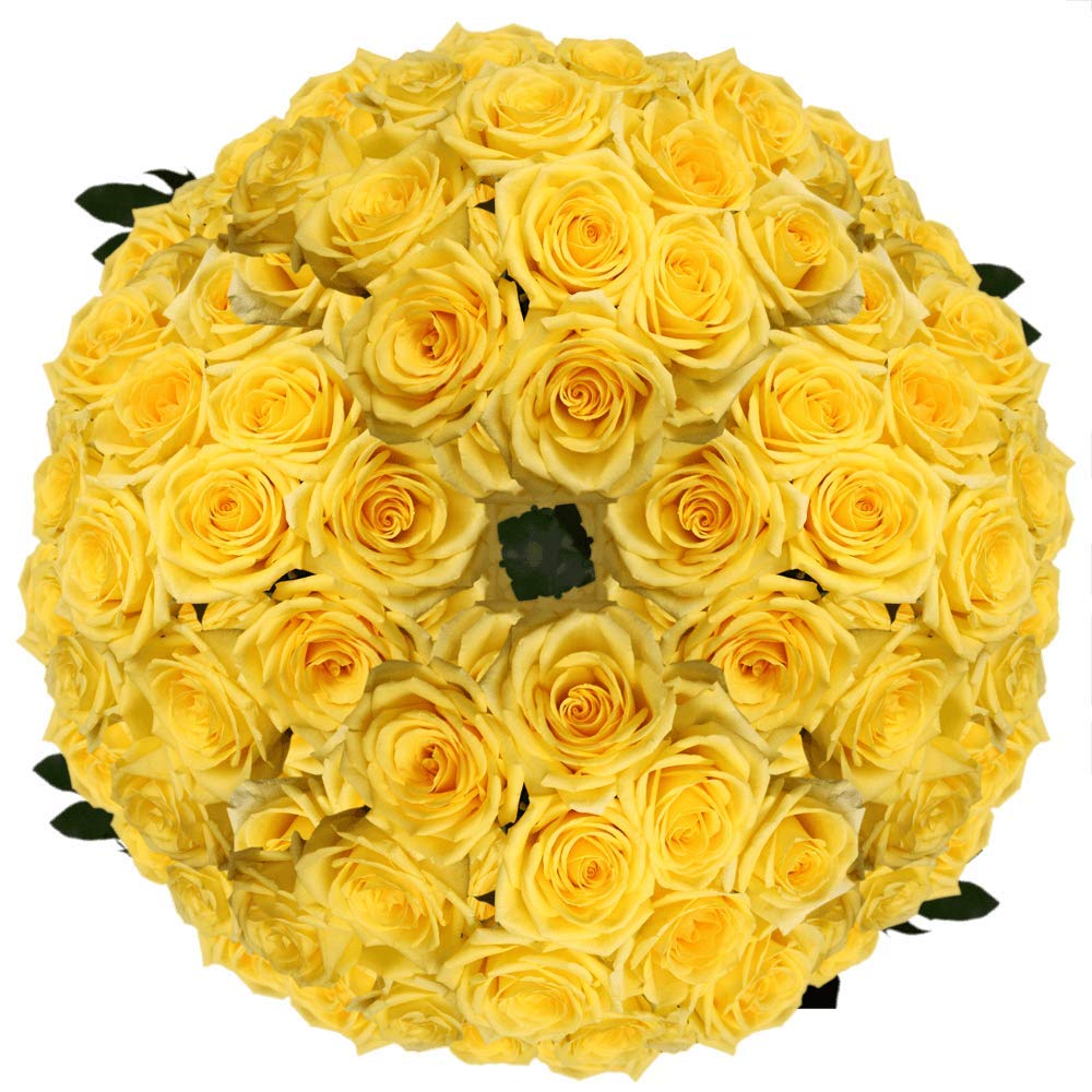 Amazon.com : GlobalRose 250 Fresh Cut Golden Yellow Roses - Gold Star ...