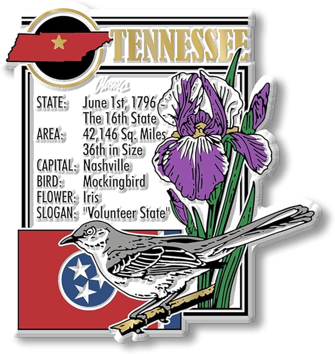 Amazon.com: Tennessee State Montage Magnet by Classic Magnets, 3.2" x 3 ...