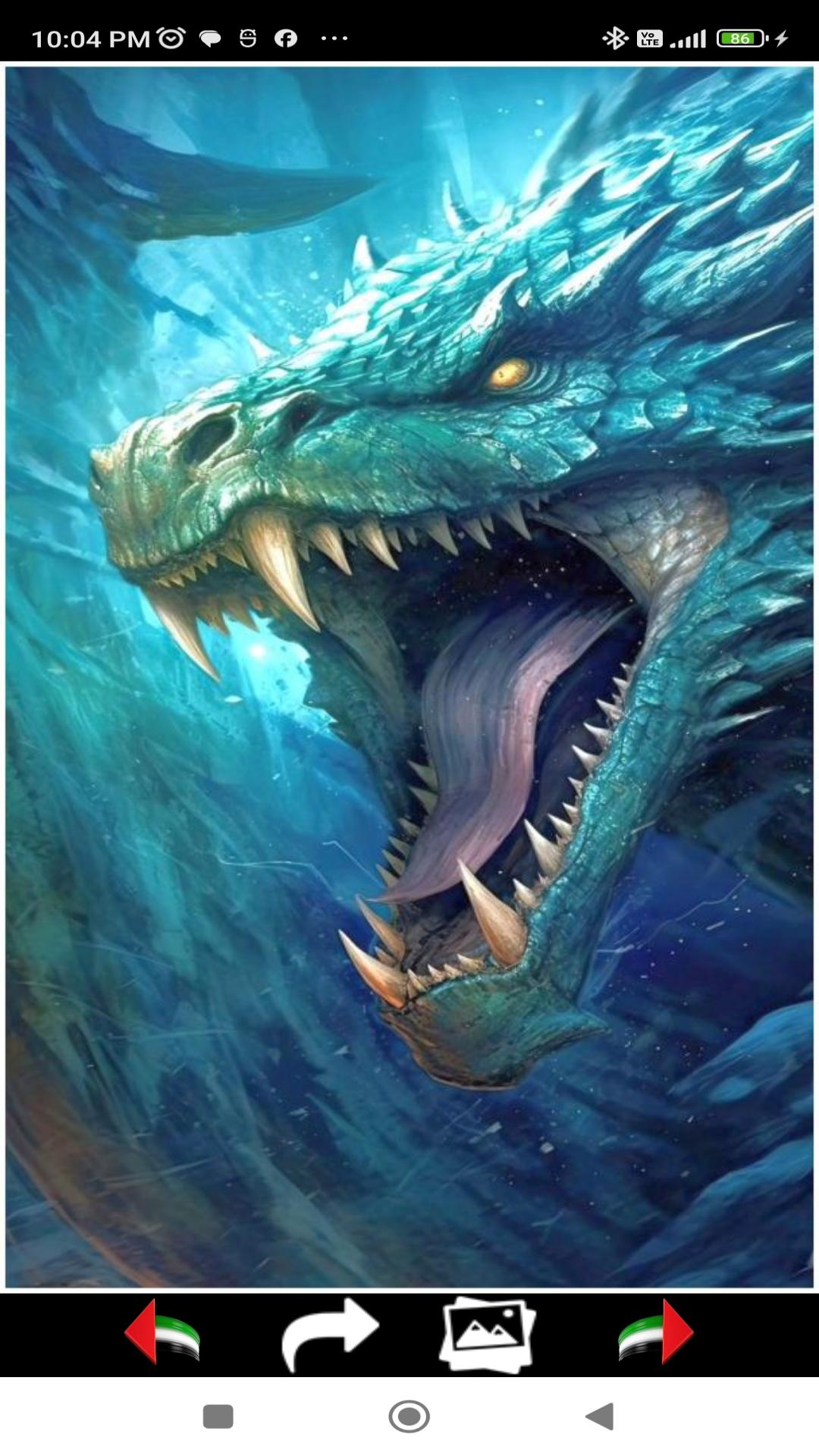 Dragons Wallpapers - App on Amazon Appstore