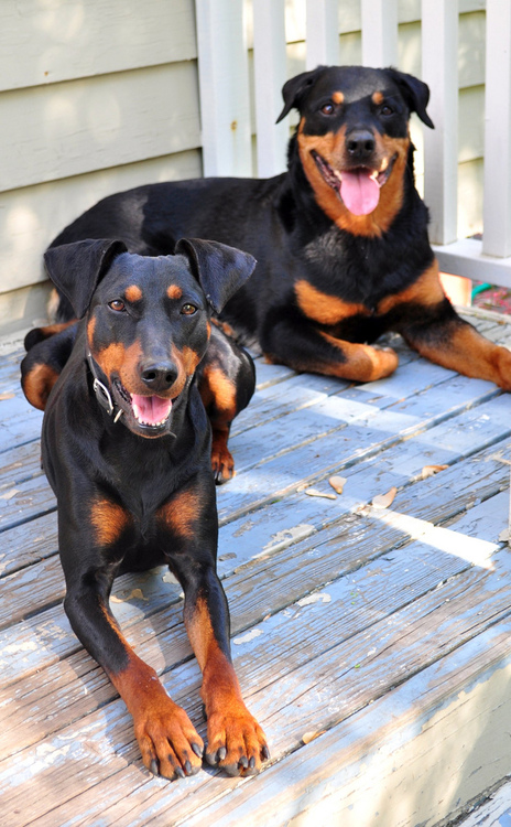 Amazon.com: Deborah Coates: books, biography, latest update