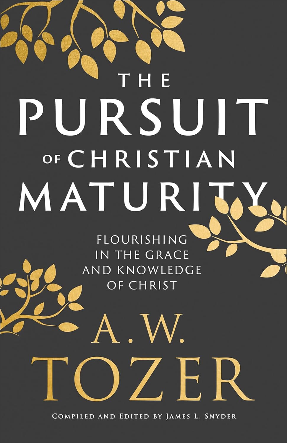 The Pursuit of Christian Maturity: Flourishing in the Grace and ...