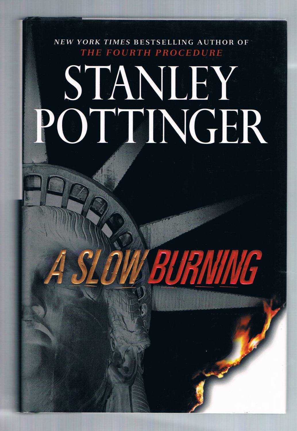 A Slow Burning: Pottinger, Stanley: 9780525945413: Amazon.com: Books