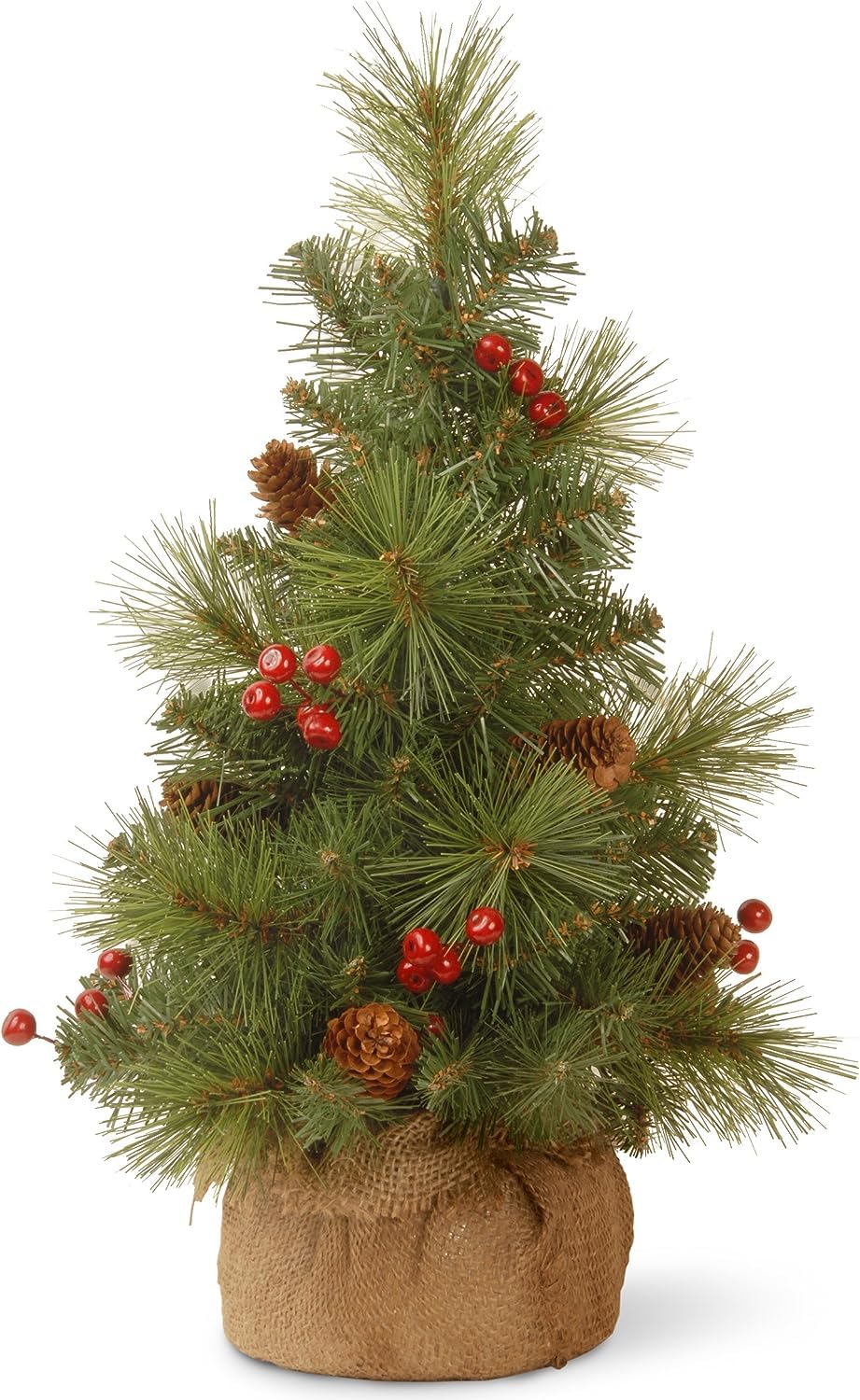 Amazon.com: National Tree 18 Inch Everyday Collection Mini Pine Cone ...