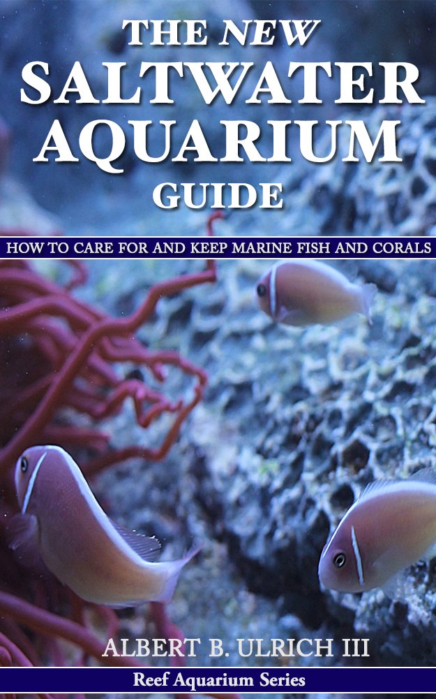The New Saltwater Aquarium Guide: How to Care for and Keep Marine Fish ...