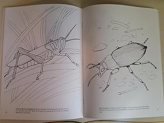 Insects Coloring Book (Dover Animal Coloring Books): Sovak, Jan ...