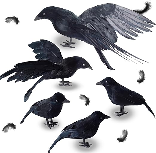 Amazon.com : NAISEN 5 Pack Halloween Crows Decorations, Assorted Size ...