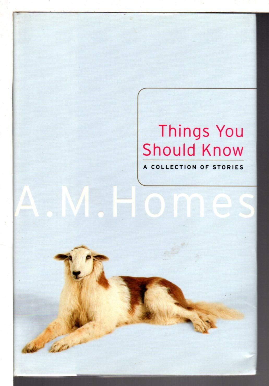 Things You Should Know: A Collection of Stories: Homes, A M ...