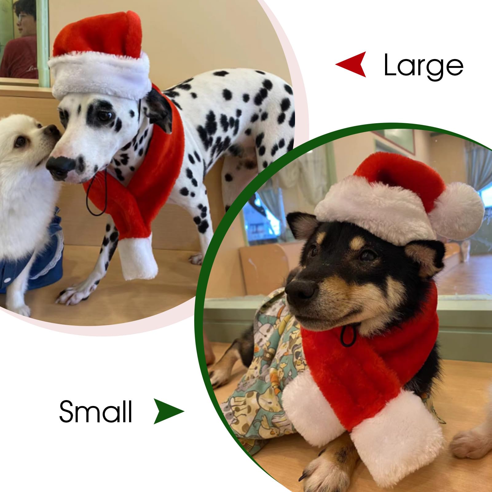 Snapklik.com : Queenmore Santa Hat For Dogs And Cats, Funny Tiny ...