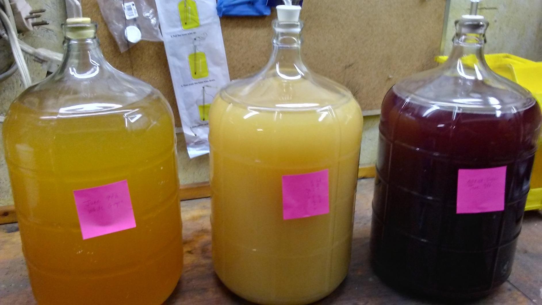 Amazon.com: 2 X 5 Gallon Glass Carboy For Beer or Wine Making : Electronics