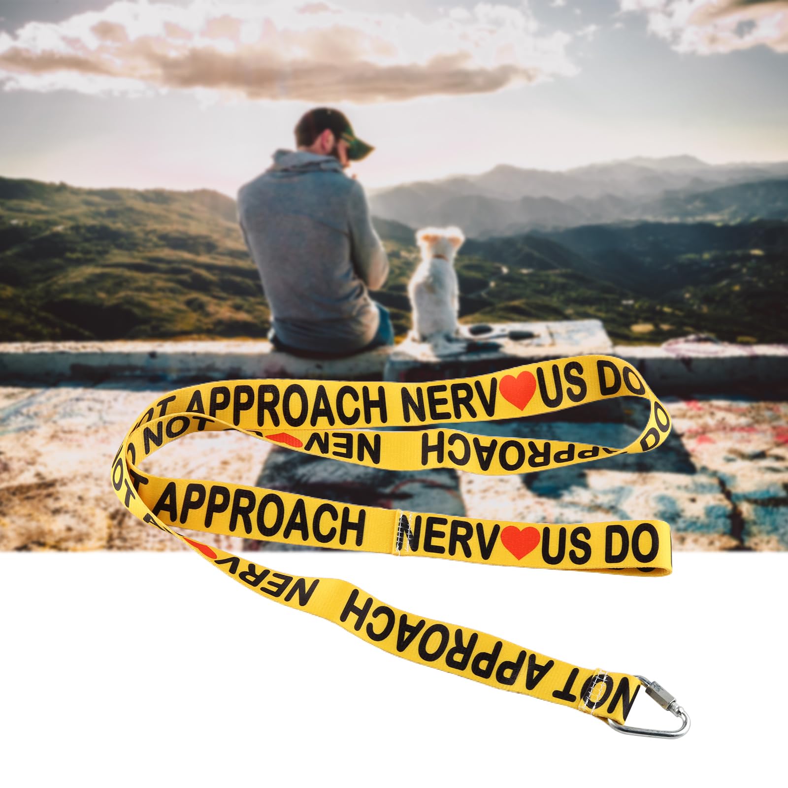 Rescue Dog Accessories Do Not Approach Nervous Dog Lead - Yellow Rescue ...