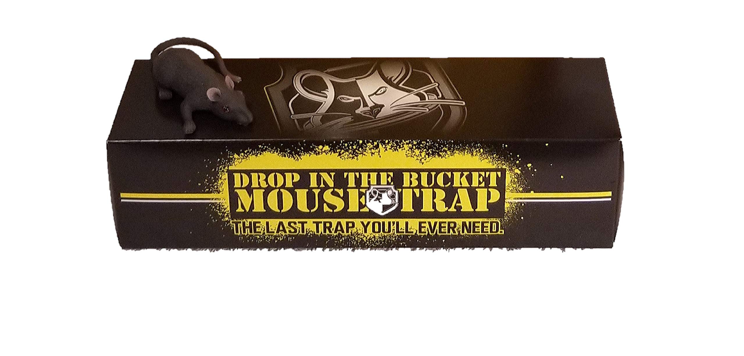 Drop In The Bucket Multiple Catch Animal Trap For Rodents 1 pk: Buy ...