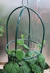 Amazon.com : Tower Obelisk Garden Trellis 100% Metal 6.3 Feet Tall ...