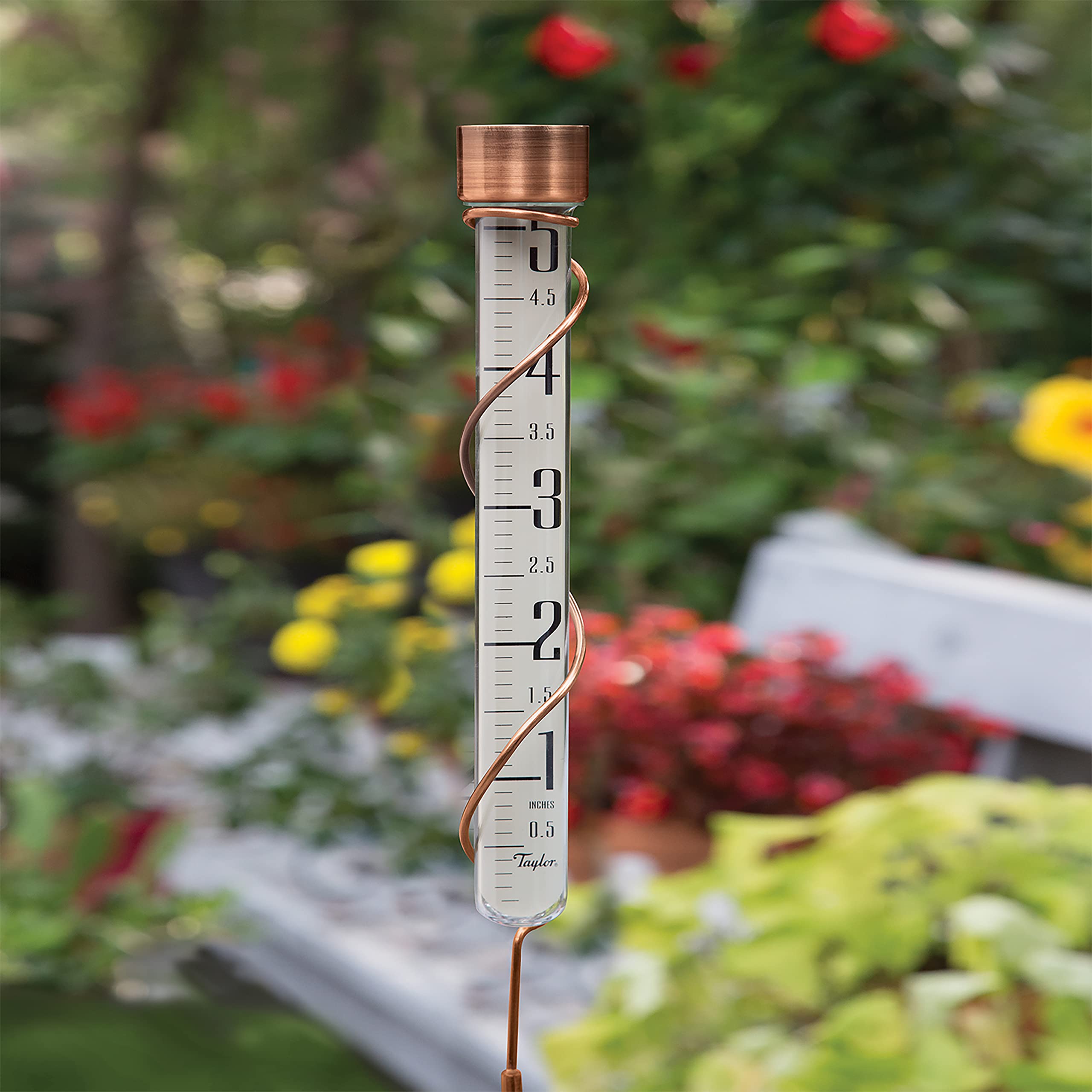 Snapklik.com : Heritage Collection Glass Rain Gauge, Measure And ...