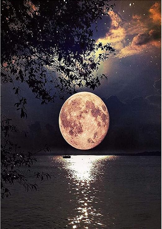 Amazon.com: SIDENUO 5D Diamond Art Kits for Adults Beginner, Moon Night ...
