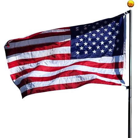 Amazon.com : Service First Black Heavy Duty 25FT Telescoping Freedom ...
