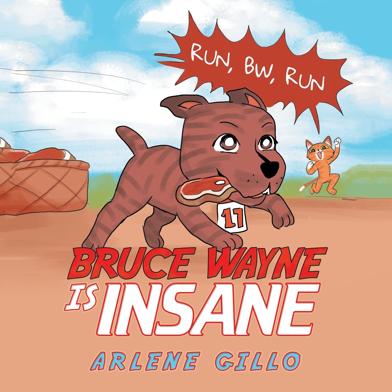 Bruce Wayne Is Insane: Run, Bw, Run: Gillo, Arlene: 9781982279493 ...