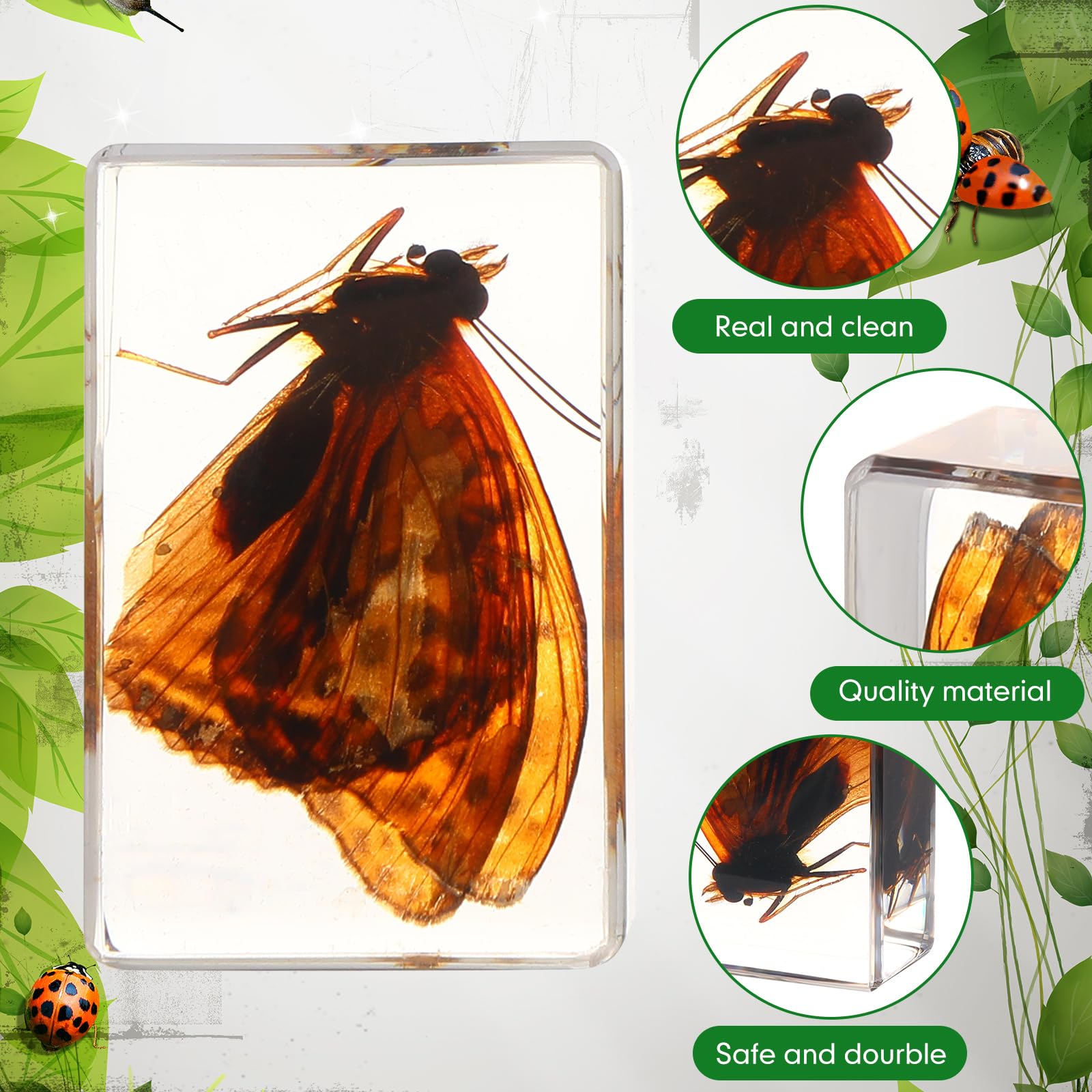 Snapklik.com : Weysat 50 Pcs Insect In Resin Bulk Specimen Bugs ...
