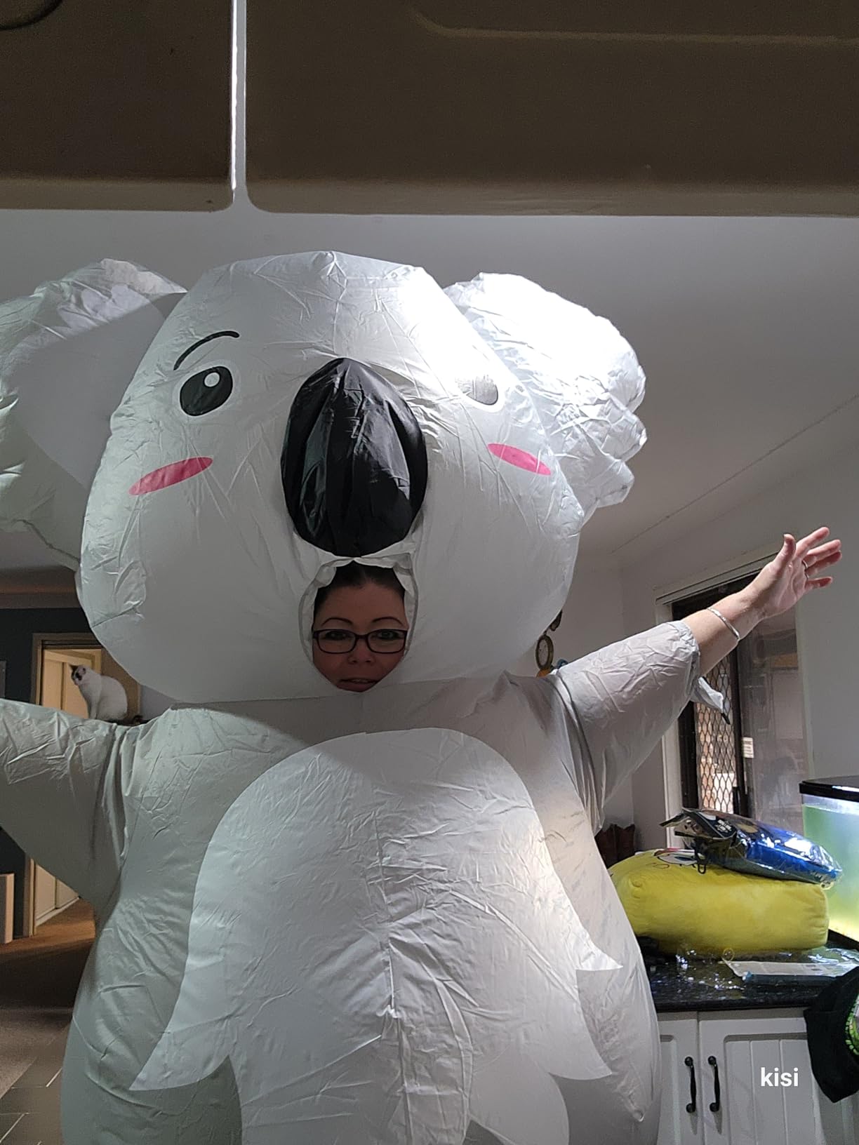 Wild Cheers Inflatable Koala Costume Adult, 7ft2 Tall Super Cute ...