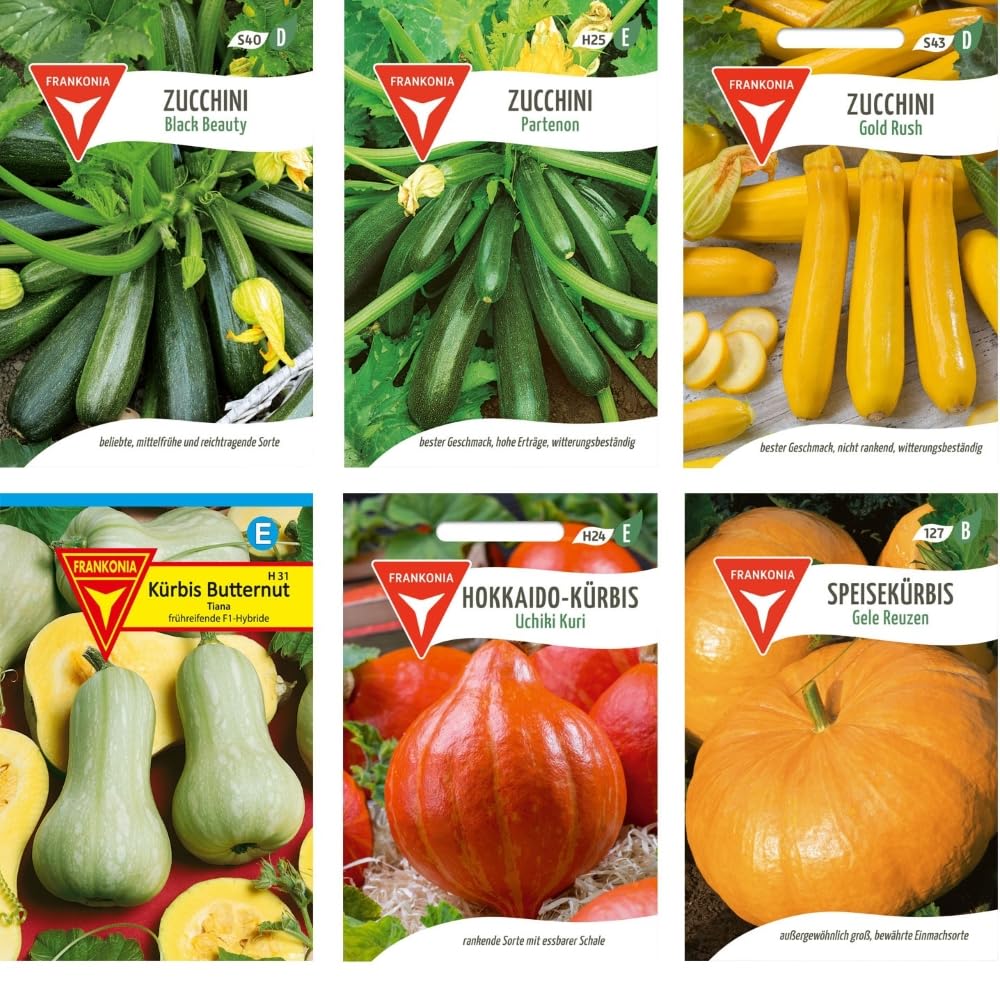 Zucchini Varieties How To Grow Zucchini Indoors Guide – Gardeners