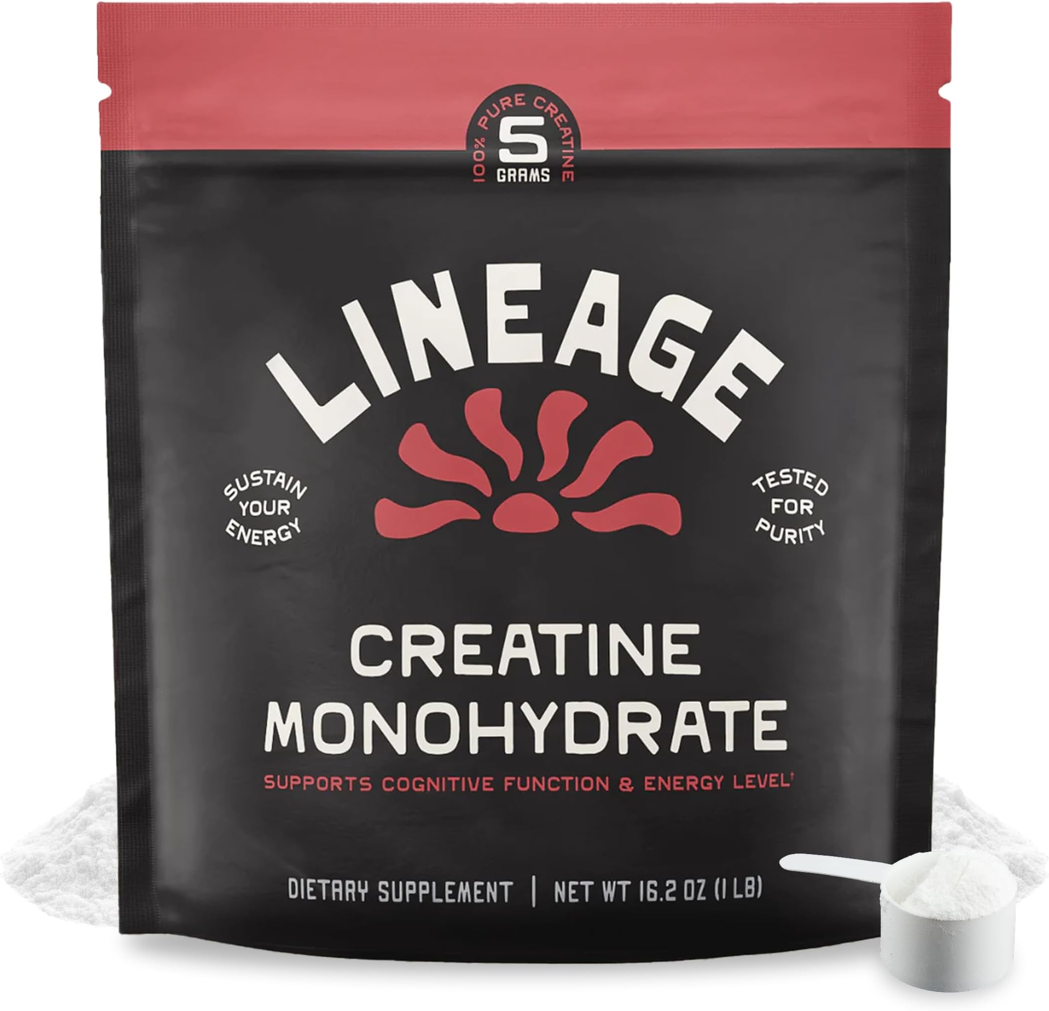 Amazon.com: Lineage Provisions Micronized Creatine Monohydrate with Sea ...