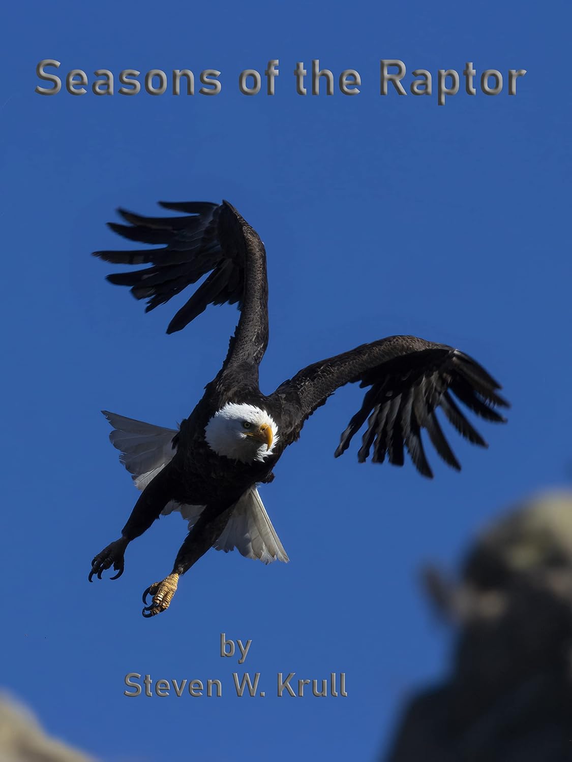 Amazon.com: Seasons of the Raptor: One Year Photographing Colorado's ...