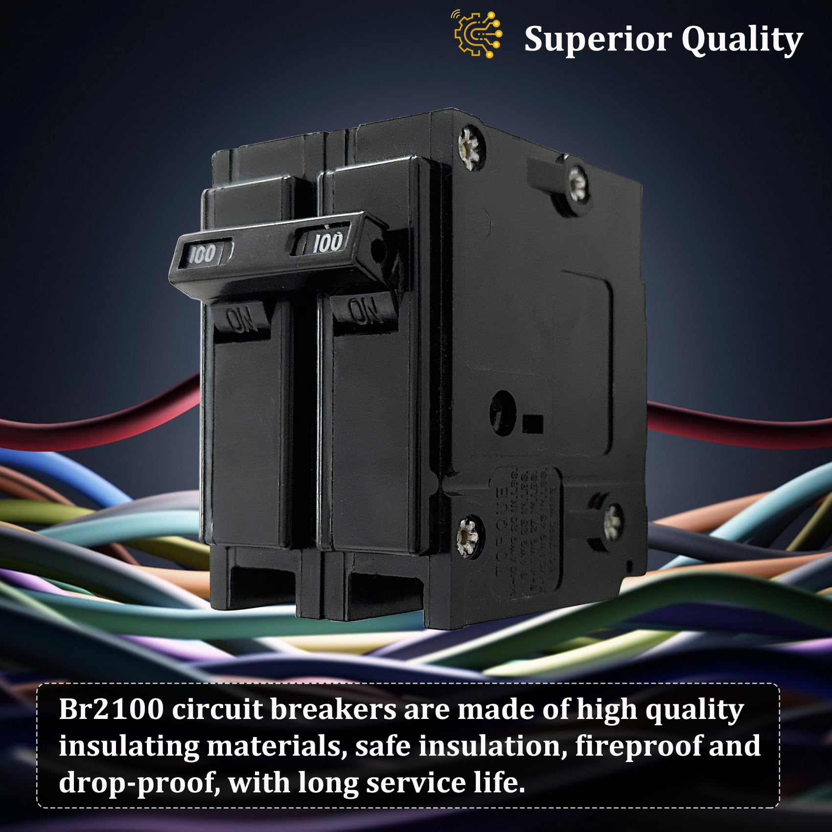 Snapklik.com : BR2100 Circuit Breaker 100 Amp,Double Pole ...