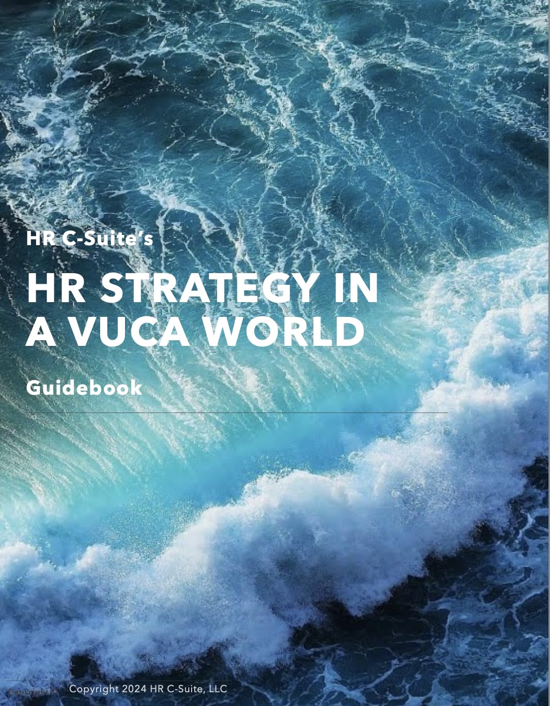 Amazon | HR Strategy in a VUCA World (English Edition) [Kindle edition ...