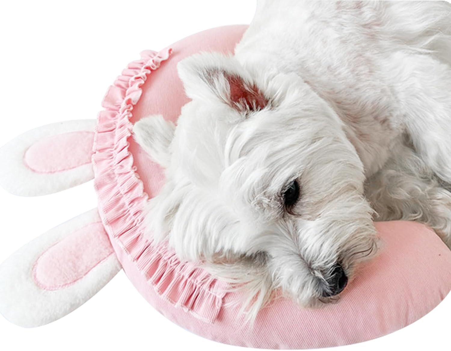 Amazon.com : homelifthub Pet Pillow for Dogs & Cats, U-Shaped Pillow ...