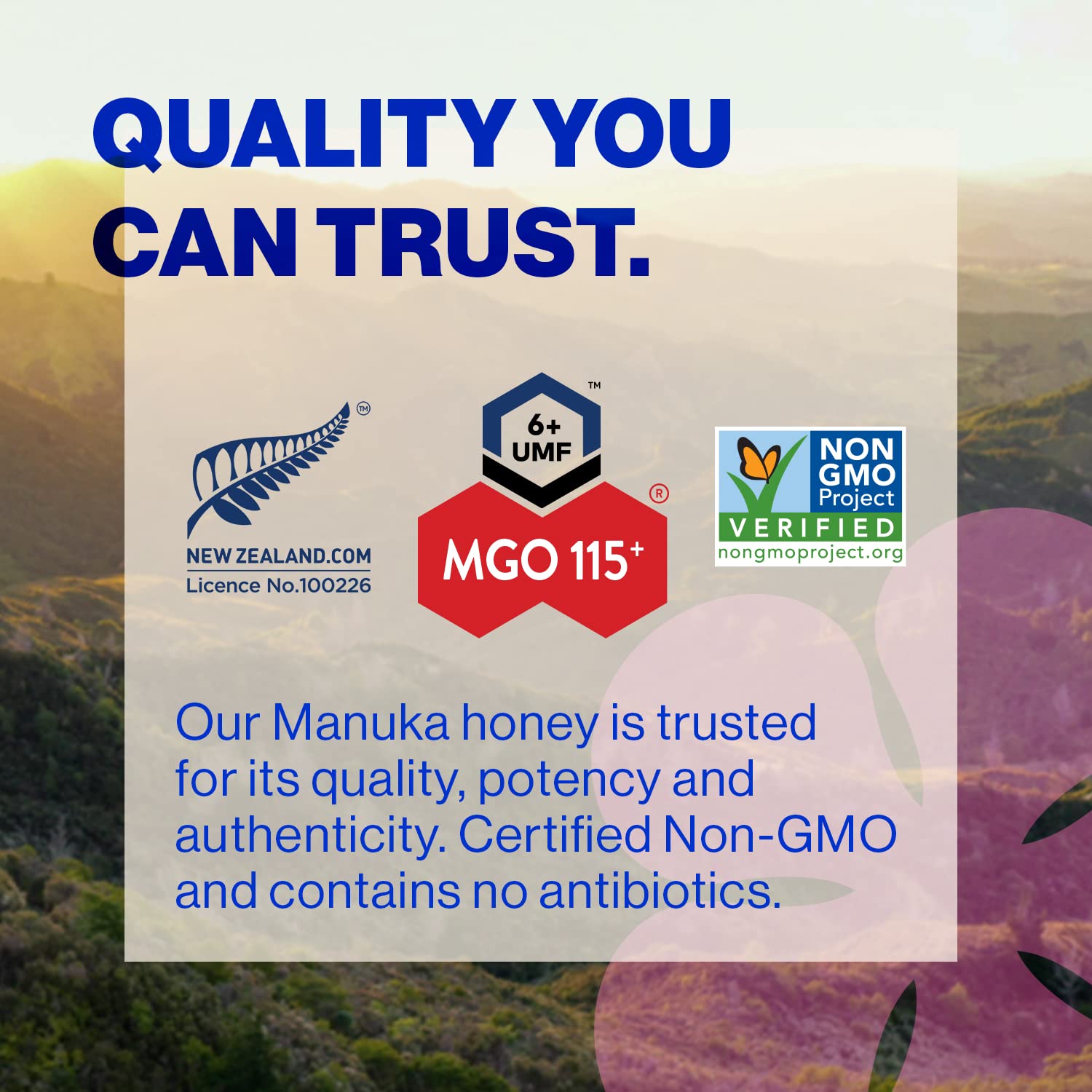 Buy Manuka Health UMF 6+/MGO 115+ Manuka Honey (500g/17.6oz), Superfood, Authentic Raw Honey ...