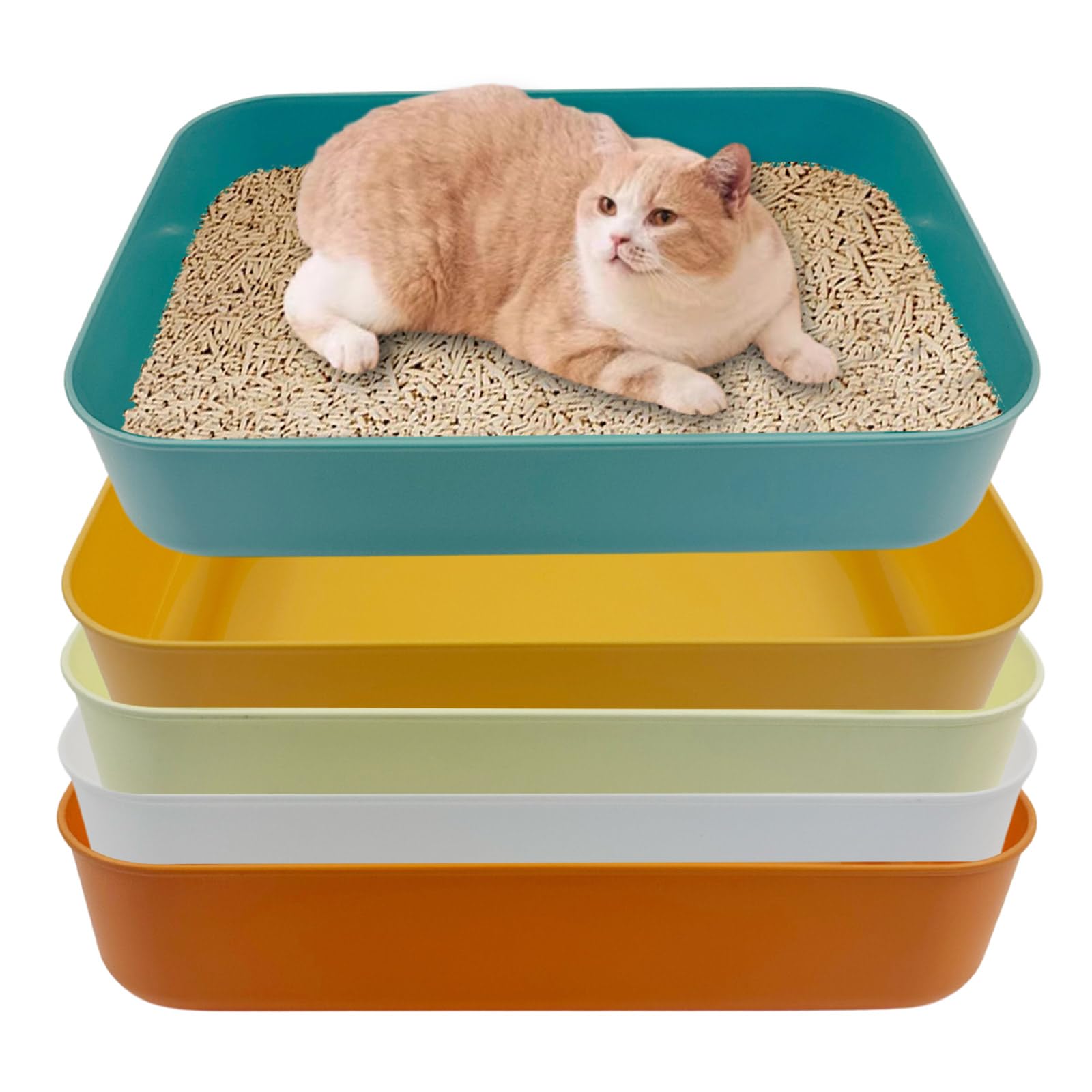 Amazon.com : 5 Pcs Small Litter Box,13.9 x 9.8 x 3 Inch Plastic Kitten ...