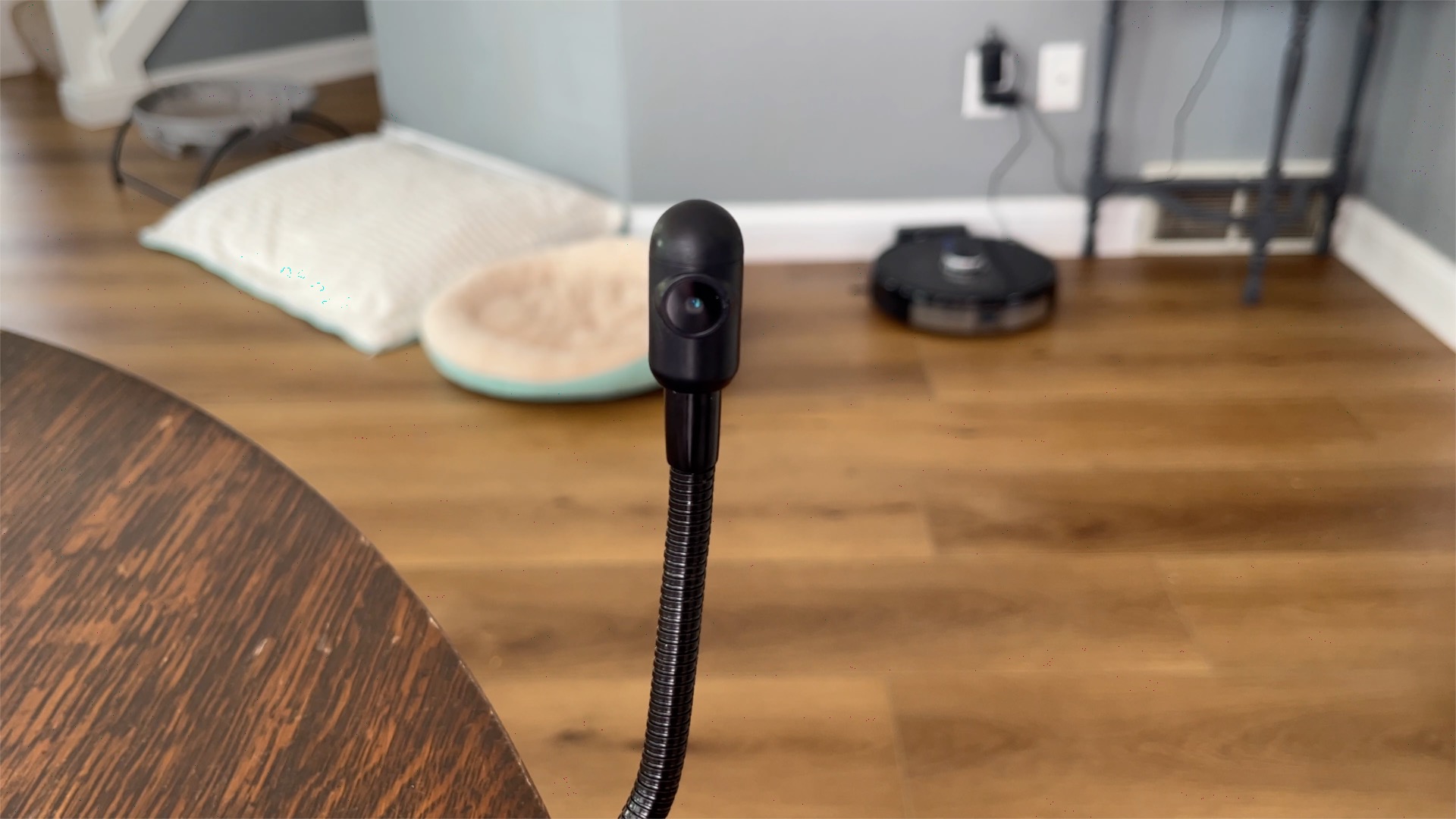 Watch hidden camera is so easy to set up on Amazon Live