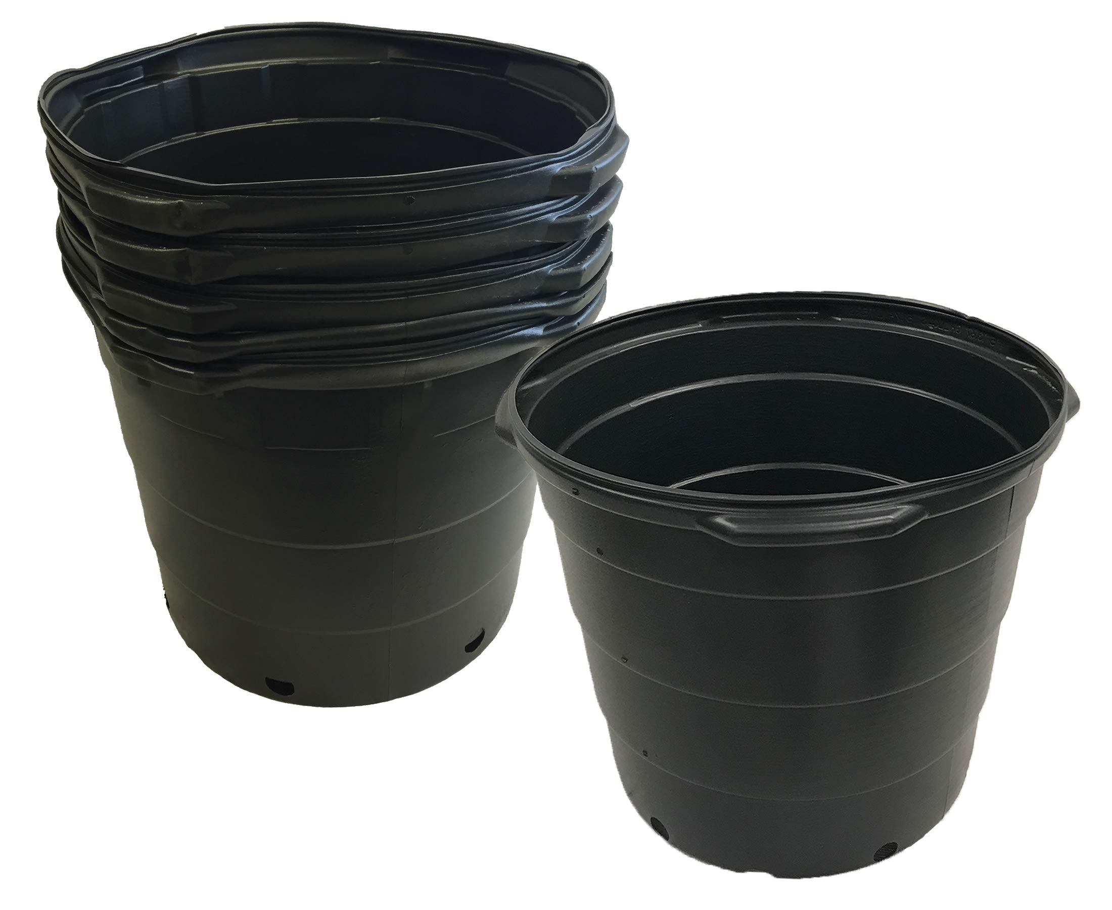 7 Best Giant Pots For Trees | Don't Let Roots Suffocate