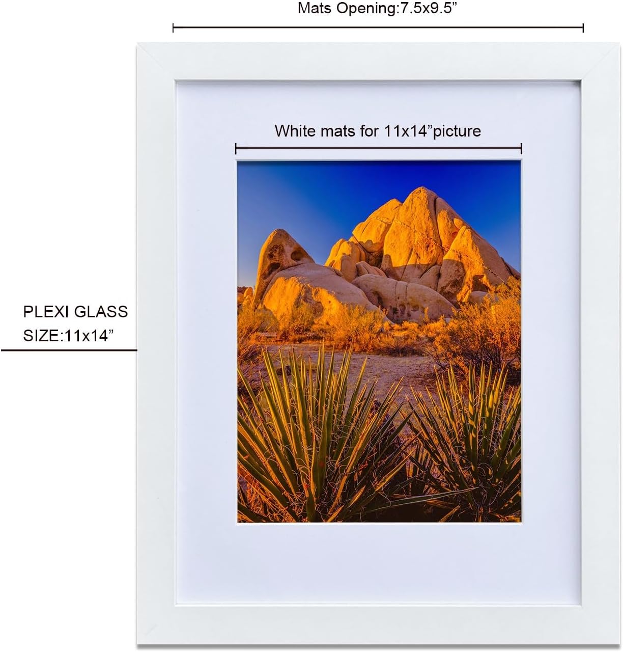 Container Furniture Direct FR06 – Marcos de fotos colgantes para pared ...