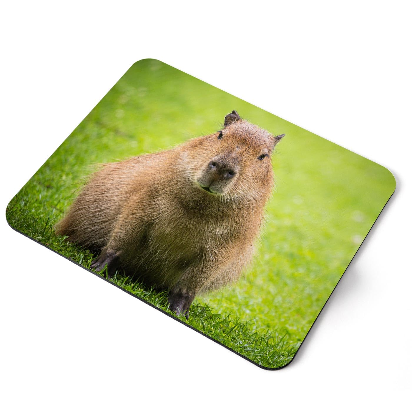 Funny Moody Capybara Animal Flexible Rectangle 5mm Rubber Mouse Mat Pad ...