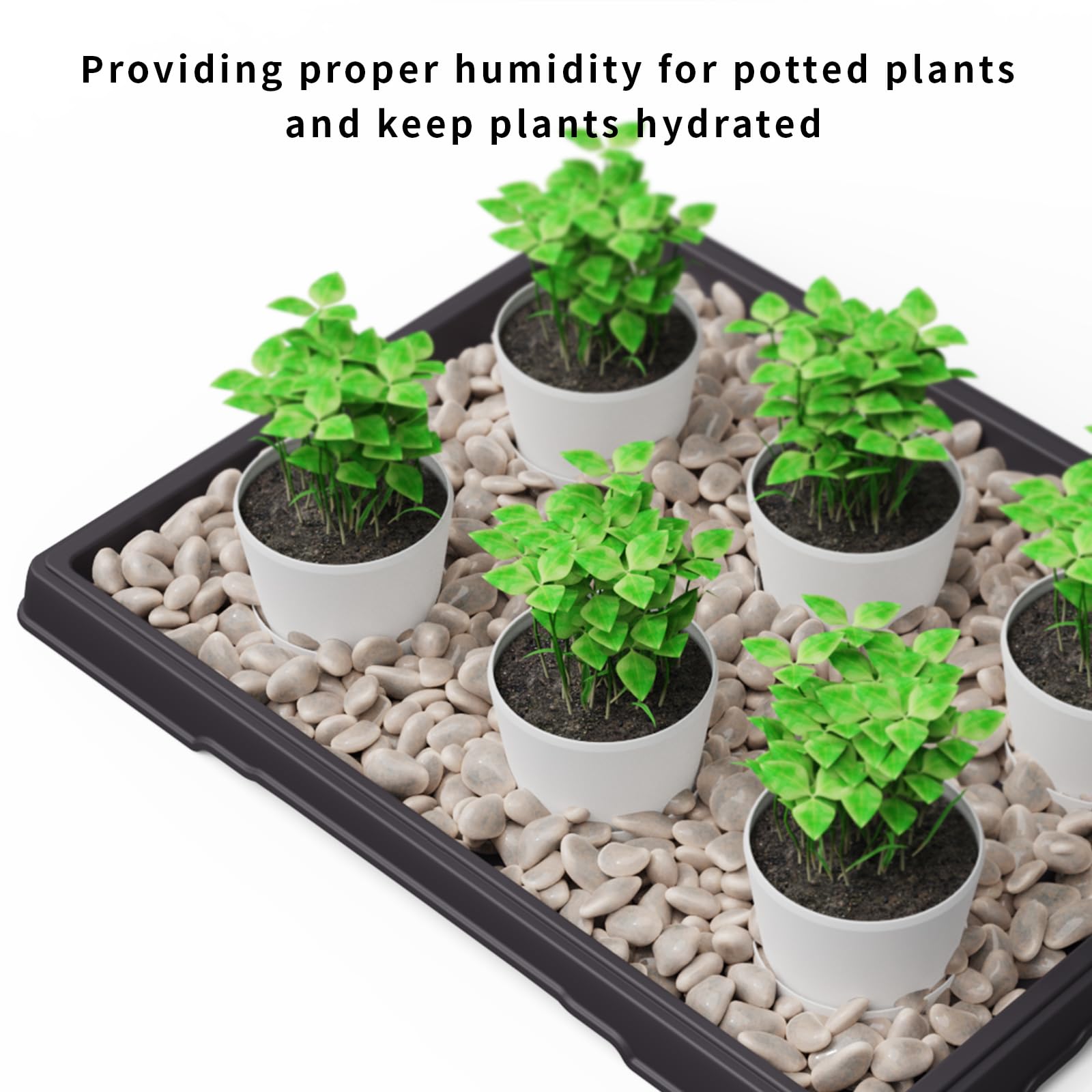 Snapklik.com : WAYNHUI Plant Saucer 3PACK Bonsai Humidity Tray Drip ...